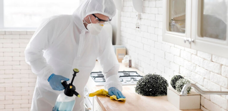 Sicalc: O que é? Como calcular? Para que serve? Quem precisa usar ...